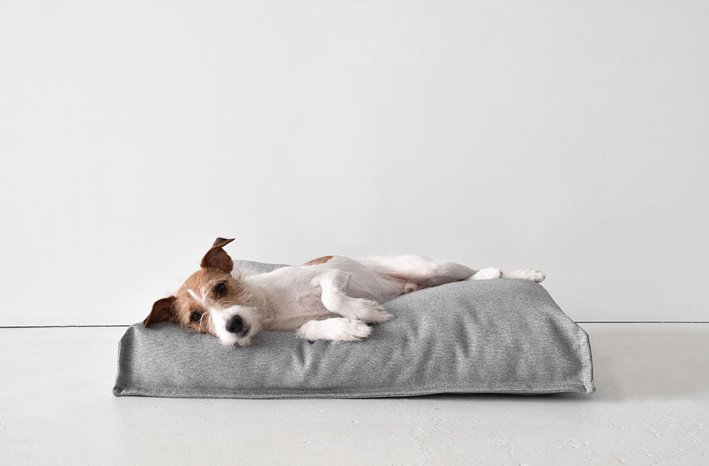 BEDS – Doca Pet