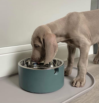 Basin Bowl – Doca Pet