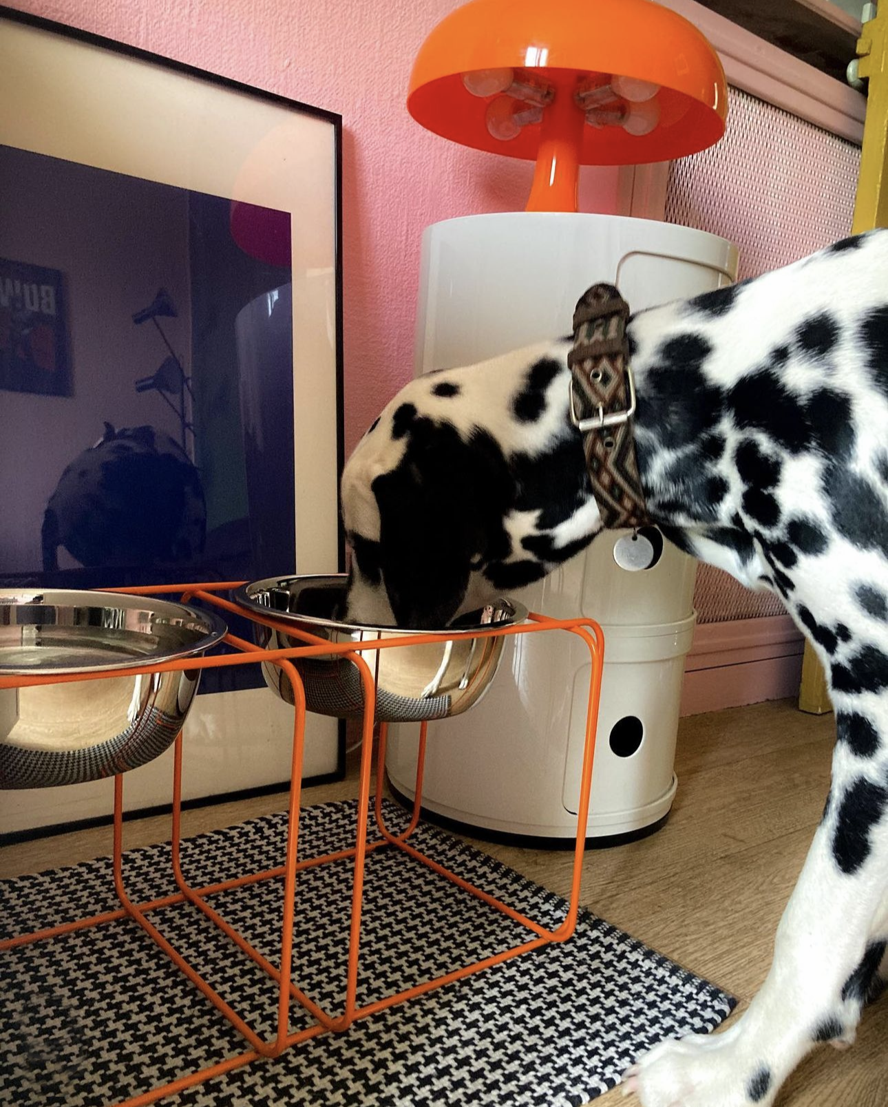 Fare Feeder – Doca Pet
