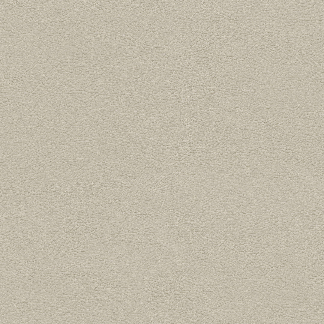 Foodie Placemat – Doca Pet