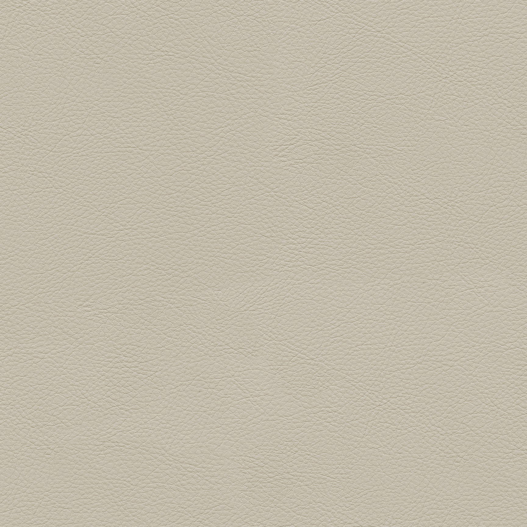 Foodie Placemat – Doca Pet