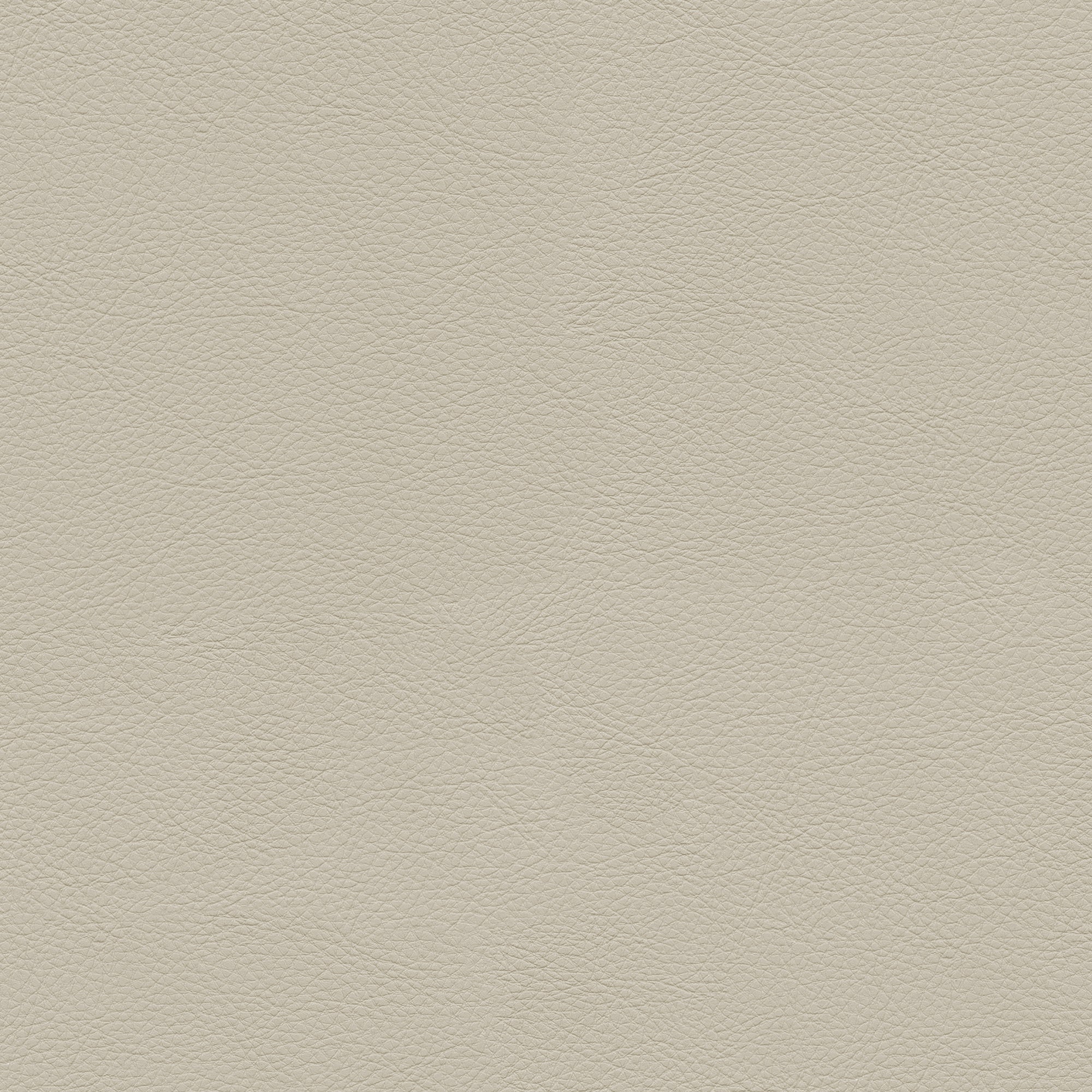 Foodie Placemat – Doca Pet